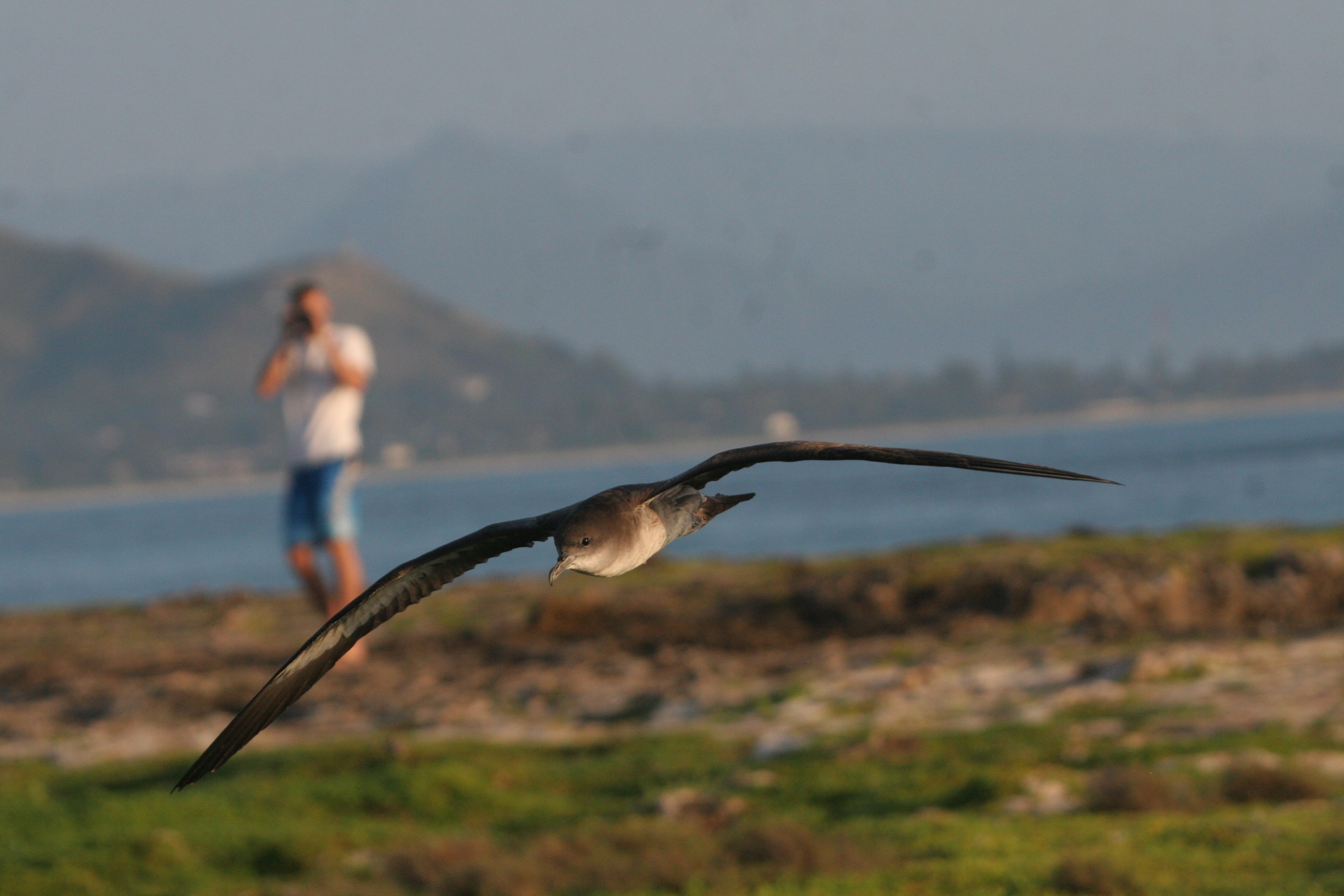 About Us – BUDGET BIRDERS