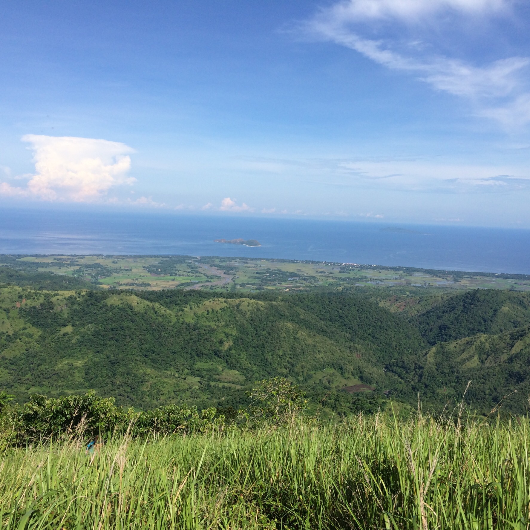 Philippines 2017: Birding Panay - BUDGET BIRDERS