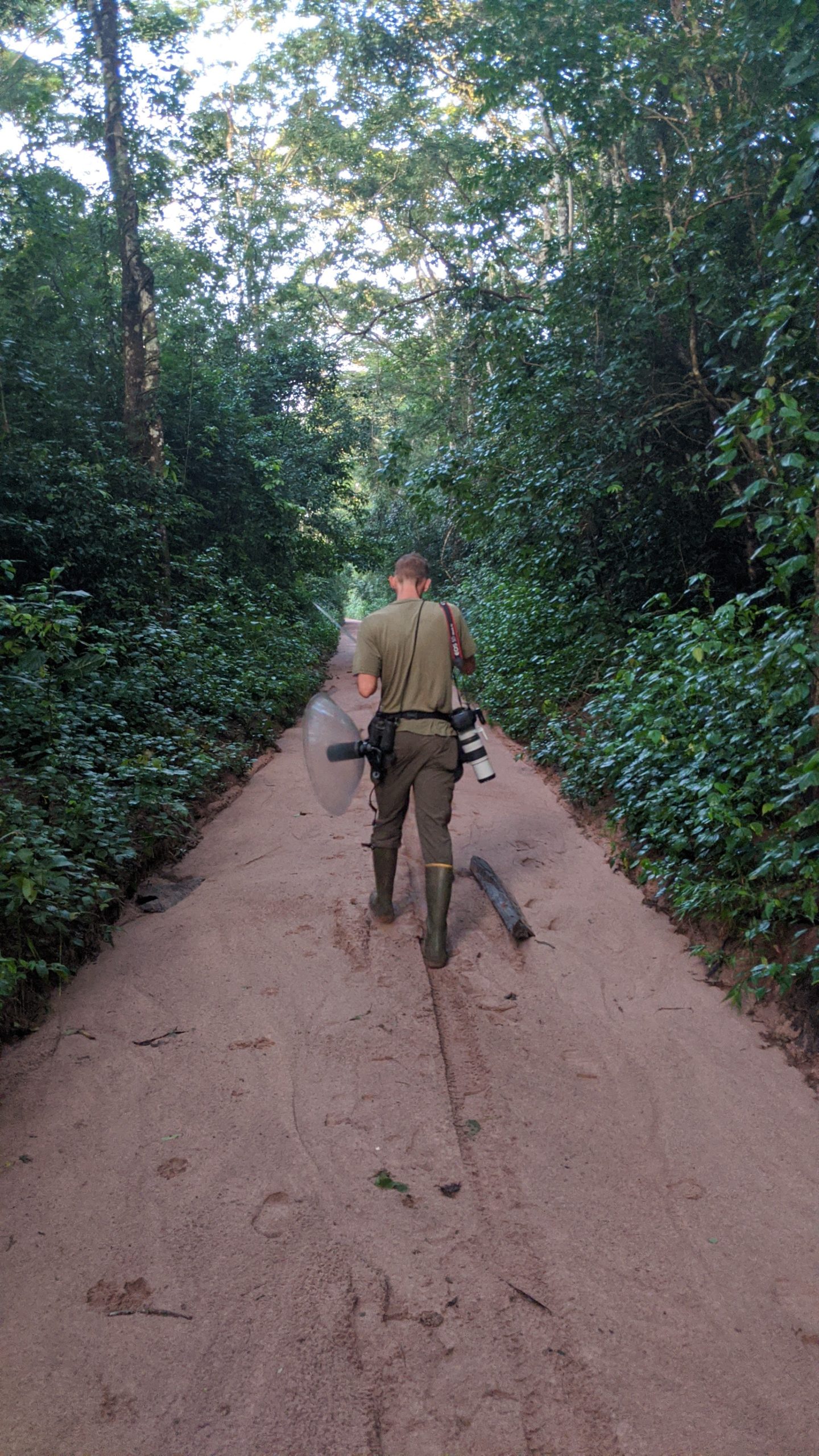 Finally Some Birding! @ The Rondo Plateau – Southern Tanzania - BUDGET ...
