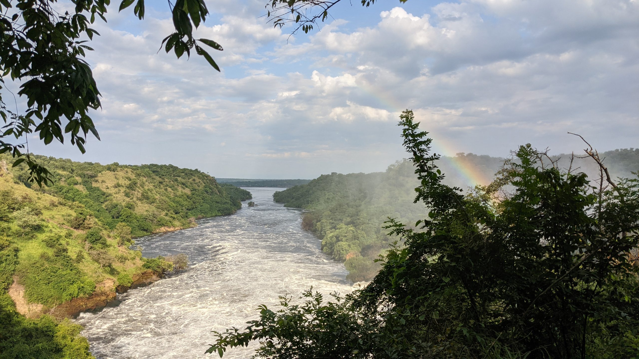 Beautiful Waterfalls and A Dusky Babbler - BUDGET BIRDERS